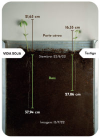Vida Soja - Microvidas