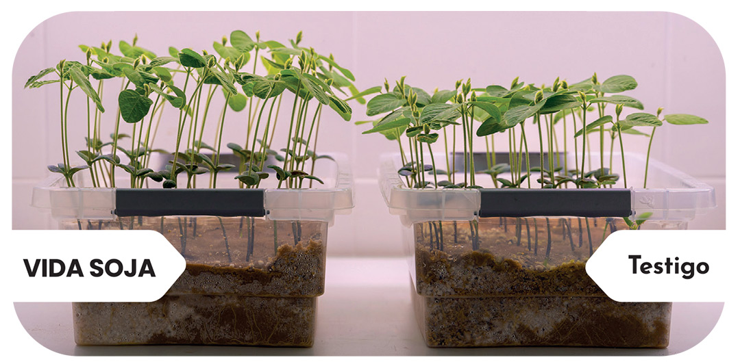 Vida Soja - Microvidas