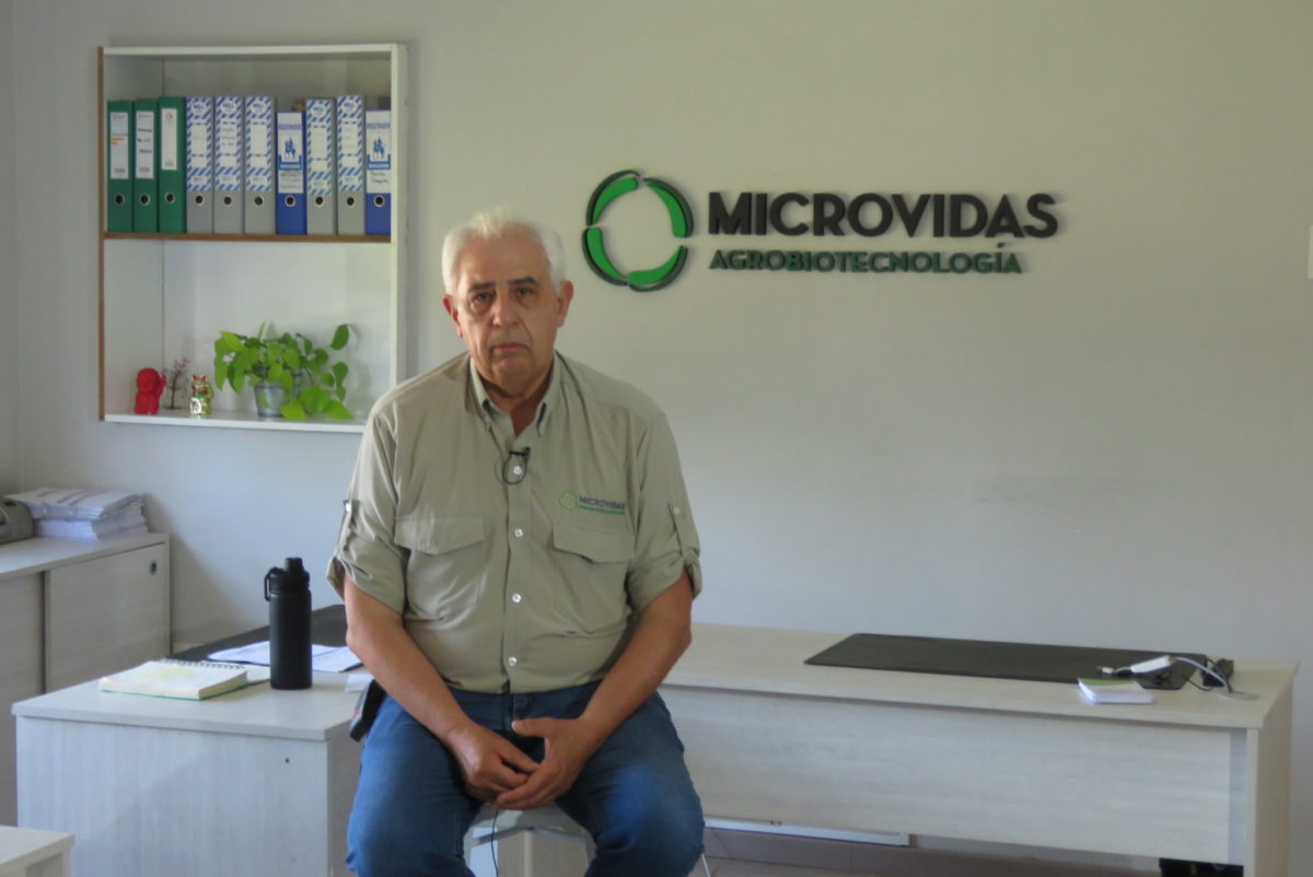 EL EQUILIBRIO Y LA NUEVA AGRICULTURA - Microvidas