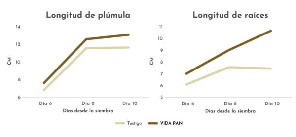 Vida Pan - Microvidas
