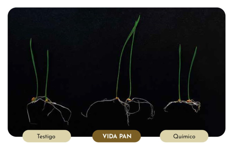 Vida Pan - Microvidas