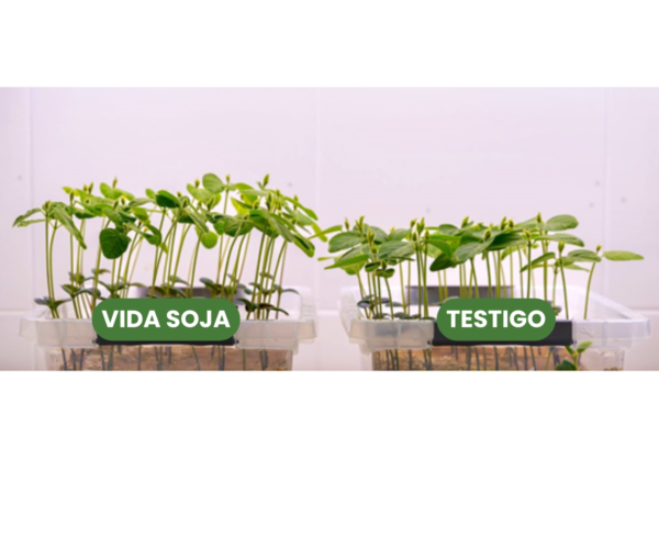 Soja - Microvidas
