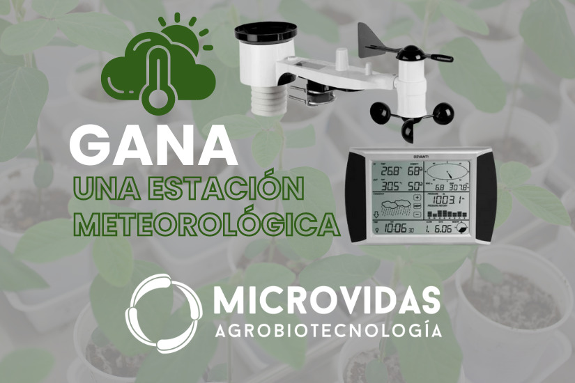 Eventos - Microvidas